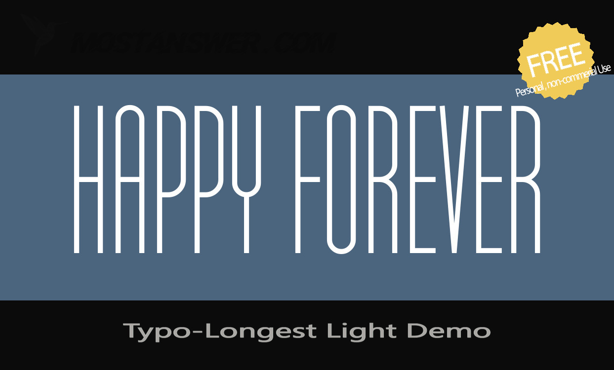 Typo Longest Light Demo Font by Studio Typo | mostfont.com