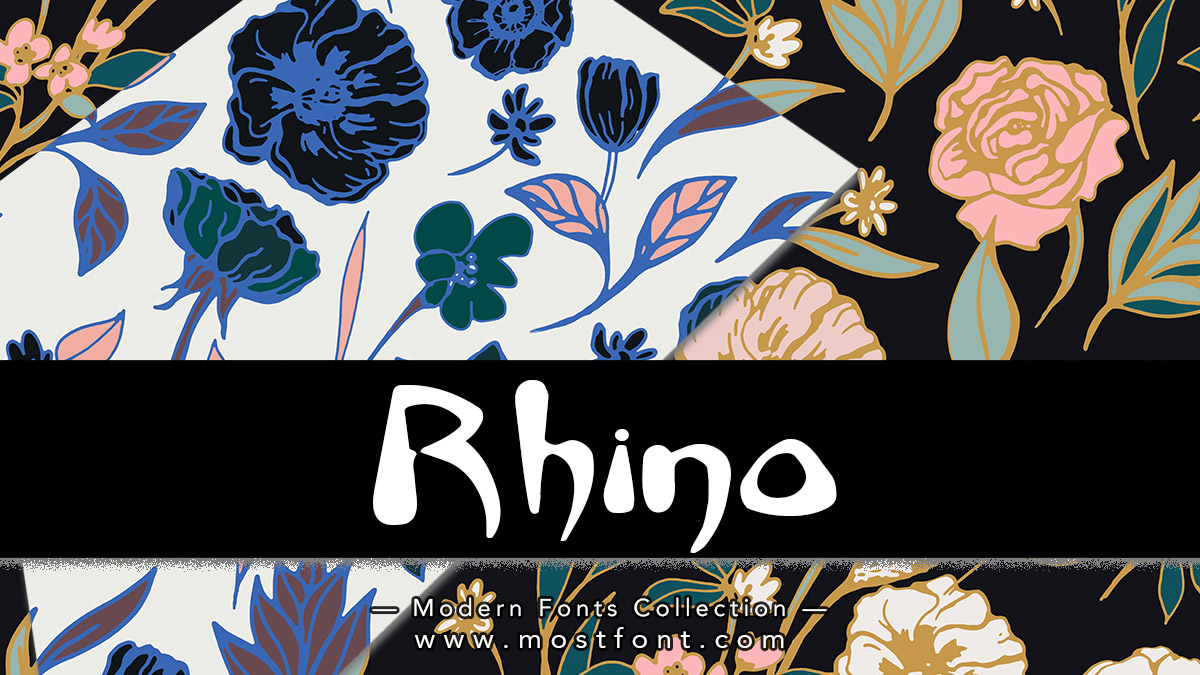 RHINO Font by House Of Eraser | mostfont.com