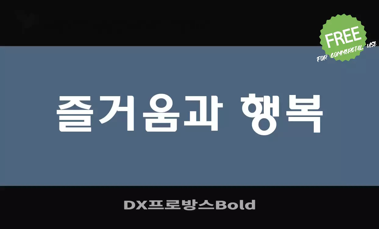 DX프로방스Bold Font by | mostfont.com
