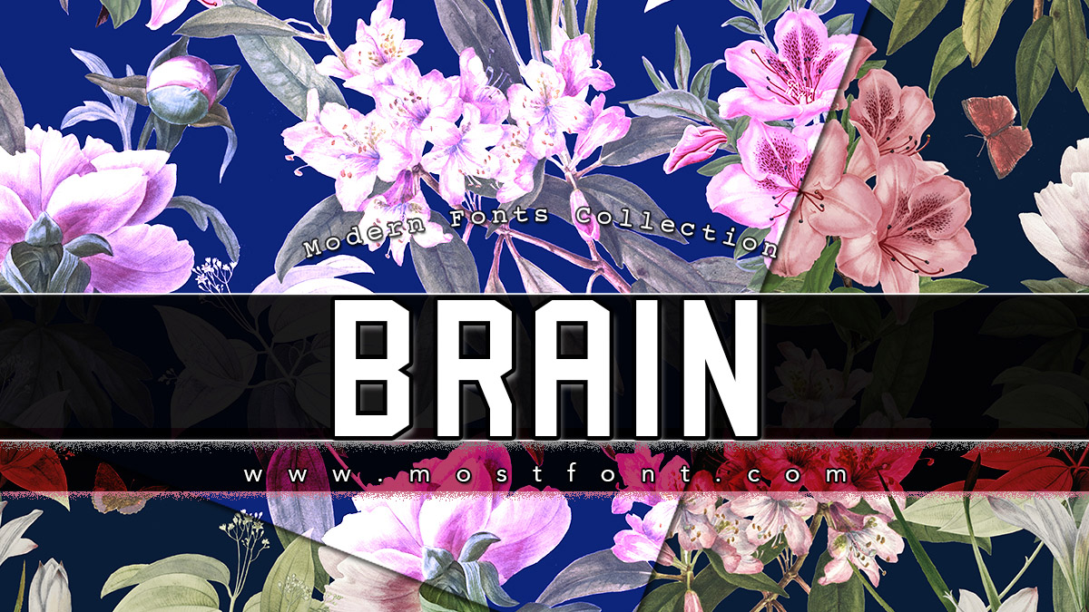 Brain Font by Vladimir Nikolic | mostfont.com