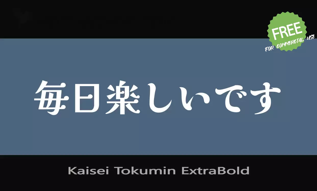 Kaisei Tokumin ExtraBold Font by | mostfont.com