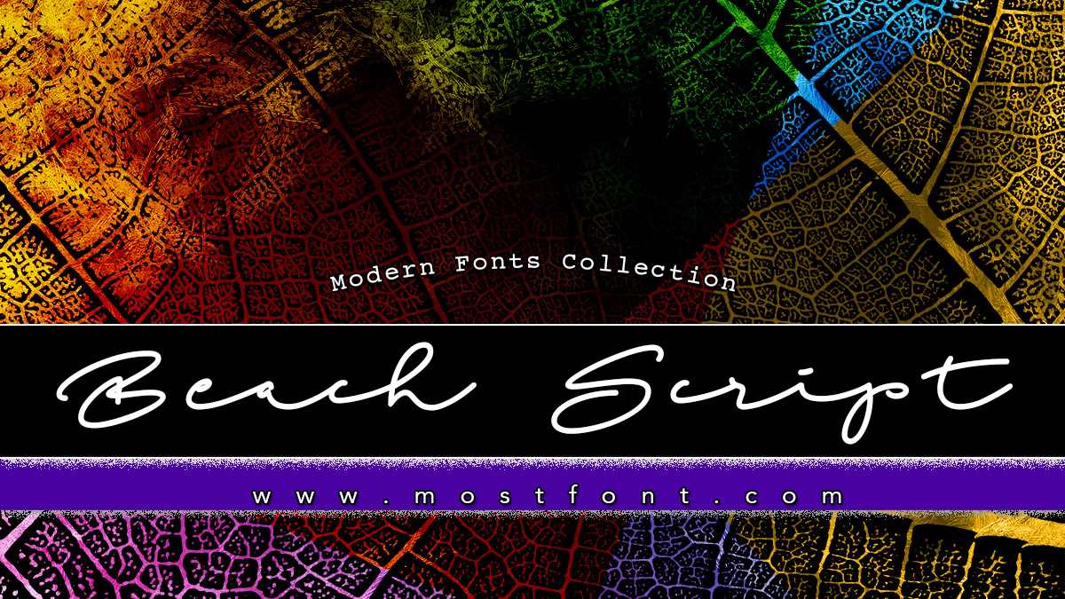 「Beach Script」字体排版样式 & 字体文件免费下载 | mostfont.com