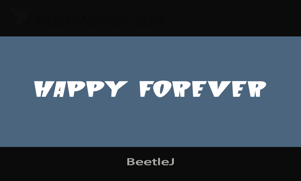 BEETLE Font by Design | mostfont.com