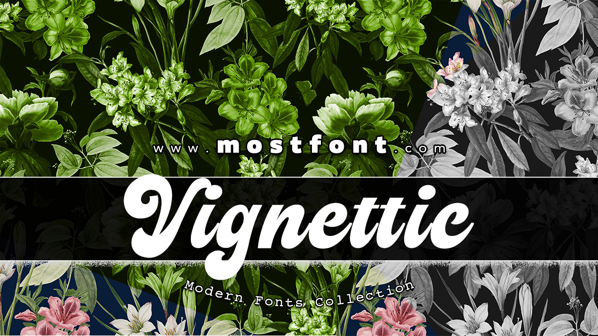 Vignettic Font Typographic Design | mostfont.com