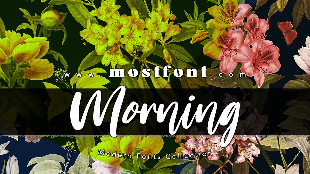 「Morning」字体排版样式 & 字体文件免费下载 | mostfont.com
