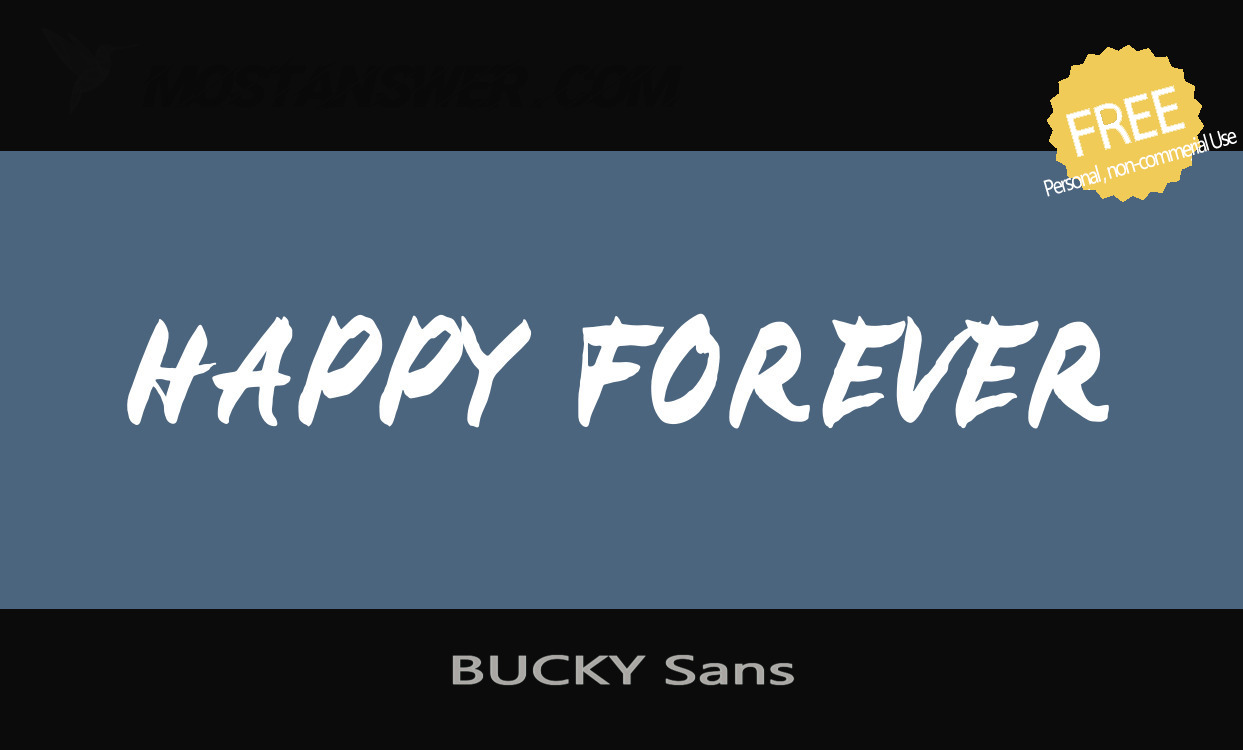 BUCKY Sans Font by | mostfont.com