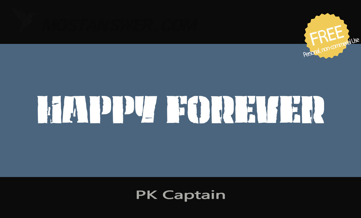 PK Captain Font by ack | mostfont.com