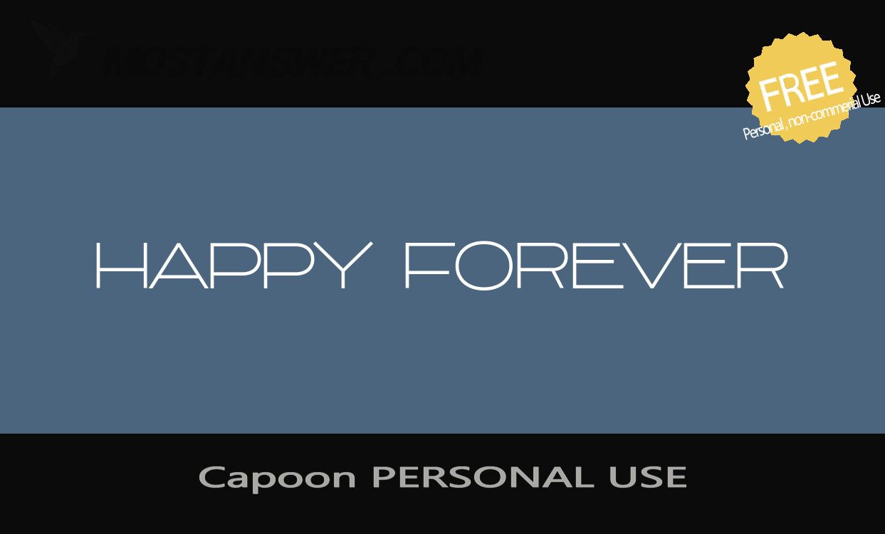 CapoonLighPERSONAL Font by ck | mostfont.com