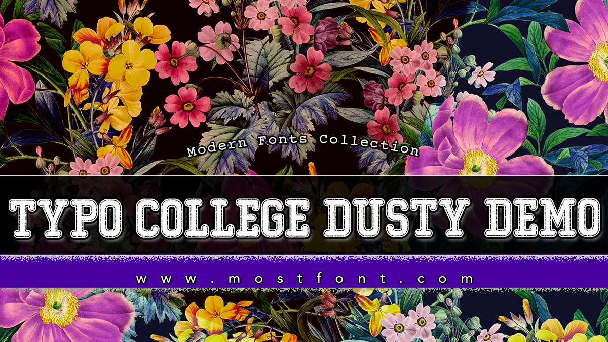 Typo College Dusty Demo Font Typographic Design | mostfont.com