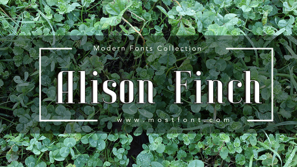Alison Finch.ttf Font by Kong Font | mostfont.com
