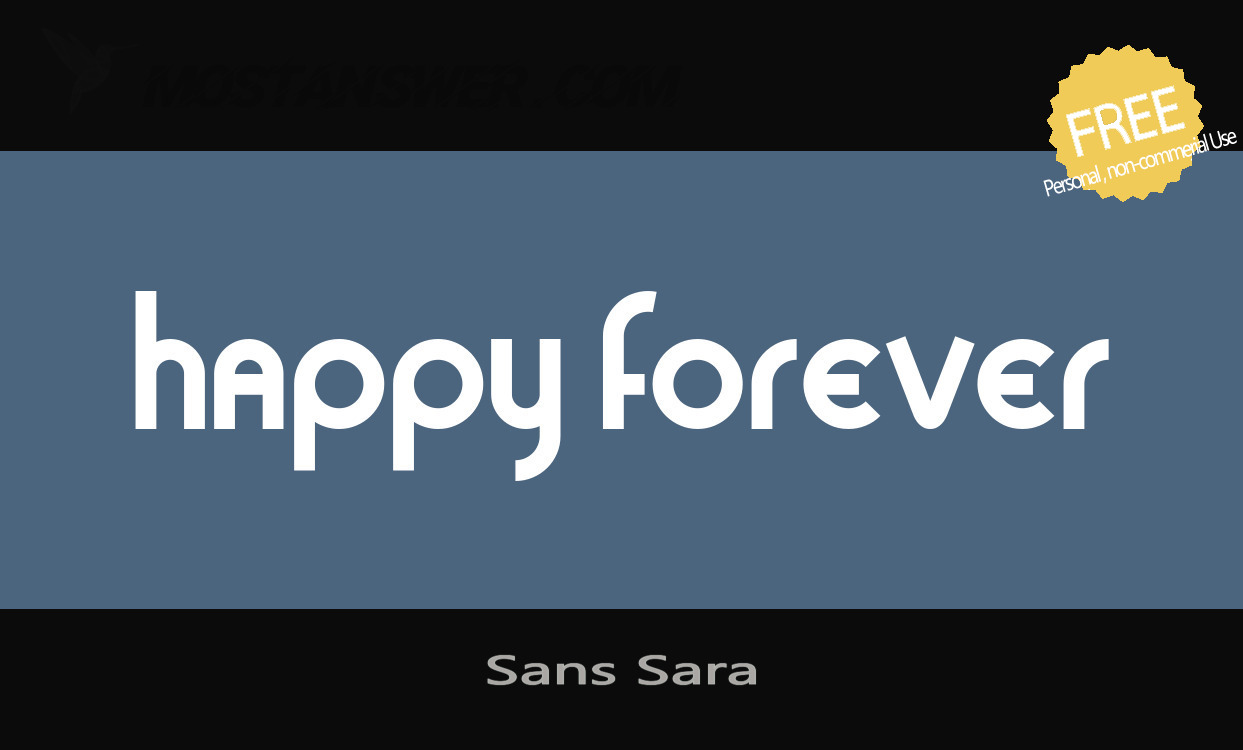 Sans Sara Font by rland Fontworks | mostfont.com