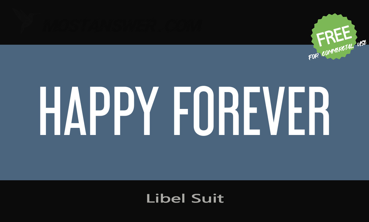 Libel Suit Rg Font by Typodermic Fonts | mostfont.com