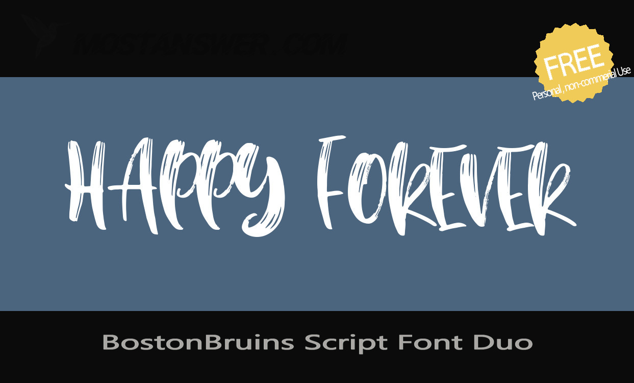 BostonBruinsscriptfontduo Regular Font by Alexander Tiunov | mostfont.com