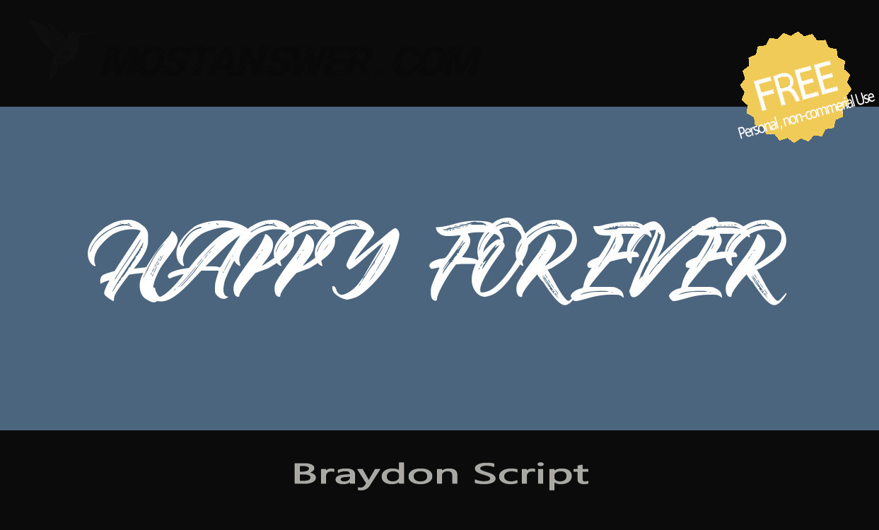 Braydon Script Font Typographic Design | mostfont.com