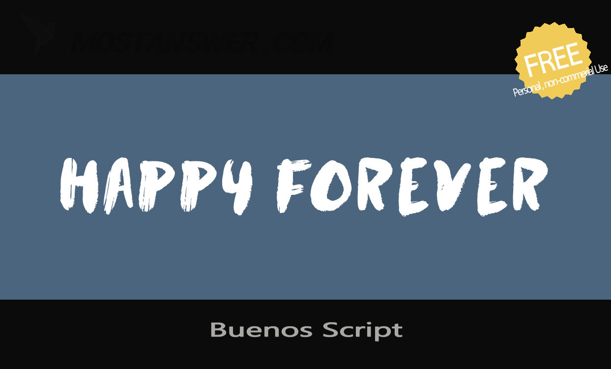 Buenos Script Font by Sans & Sons | mostfont.com