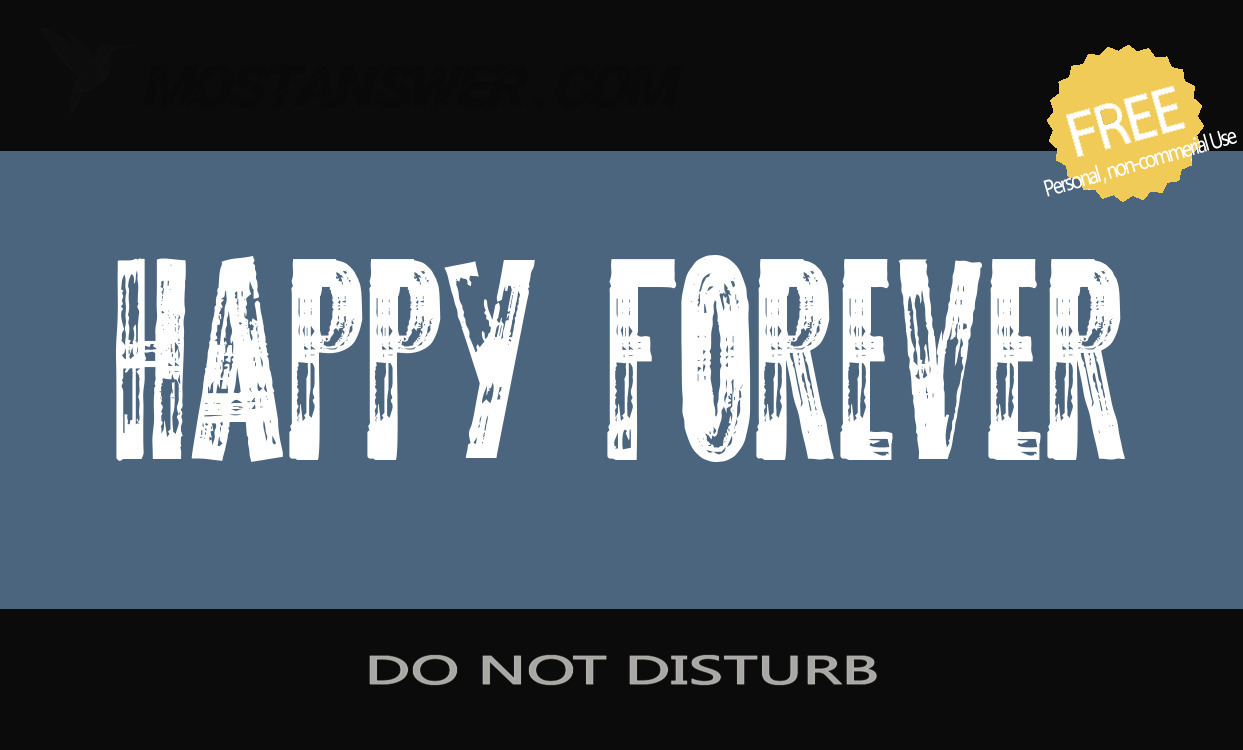 DO NOT DISTURB Font by Octotype | Thomas Boucherie | mostfont.com