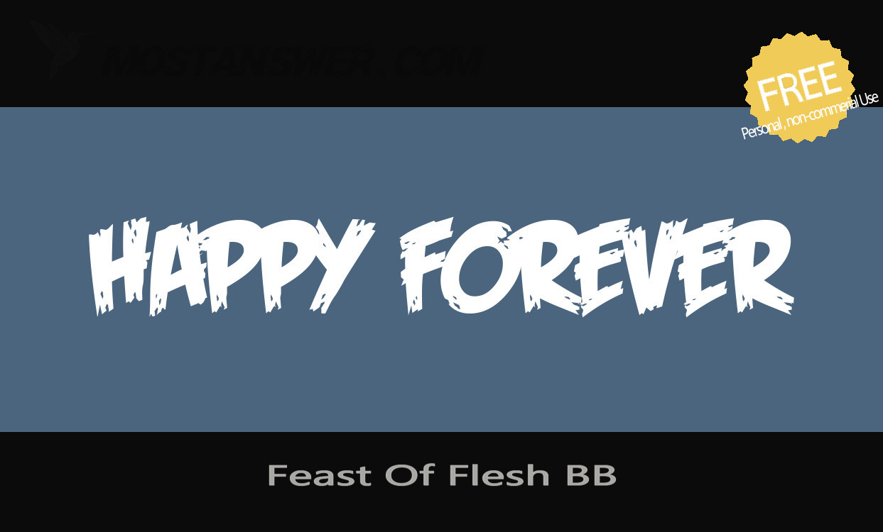 FEASFBRG Font by t | mostfont.com