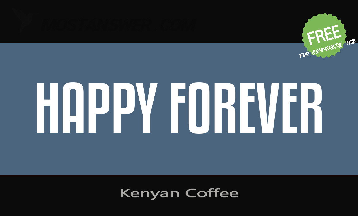 Kenyan Coffee Rg Font by Typodermic Fonts | mostfont.com