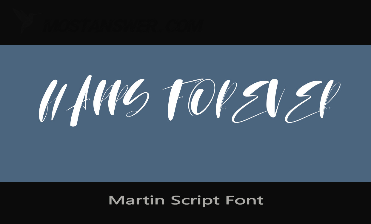 MartinScriptFont Font by Stasia K | mostfont.com
