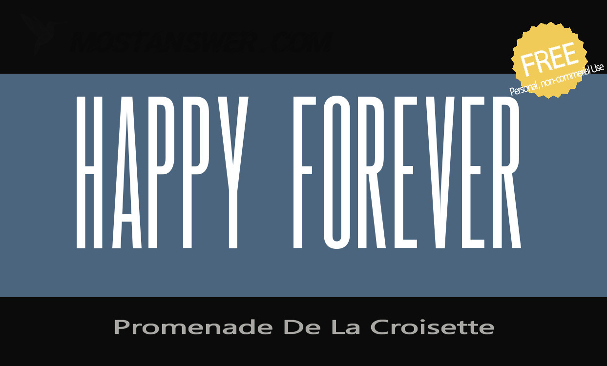 PromenadedelaCroisette Reg Font by HENRIavecunK | mostfont.com