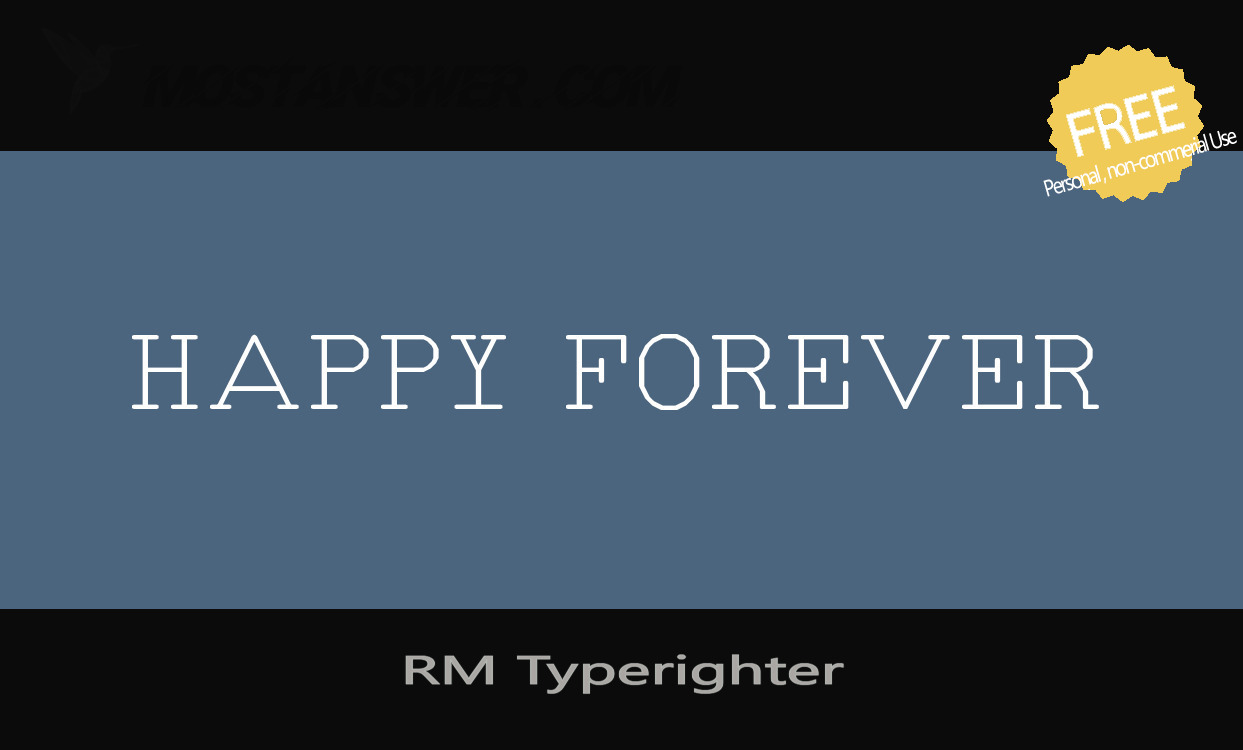Rmtyperighter Font by Ray Meadows | mostfont.com