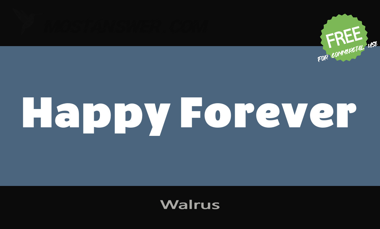 Walrus Bold Font by dot | mostfont.com